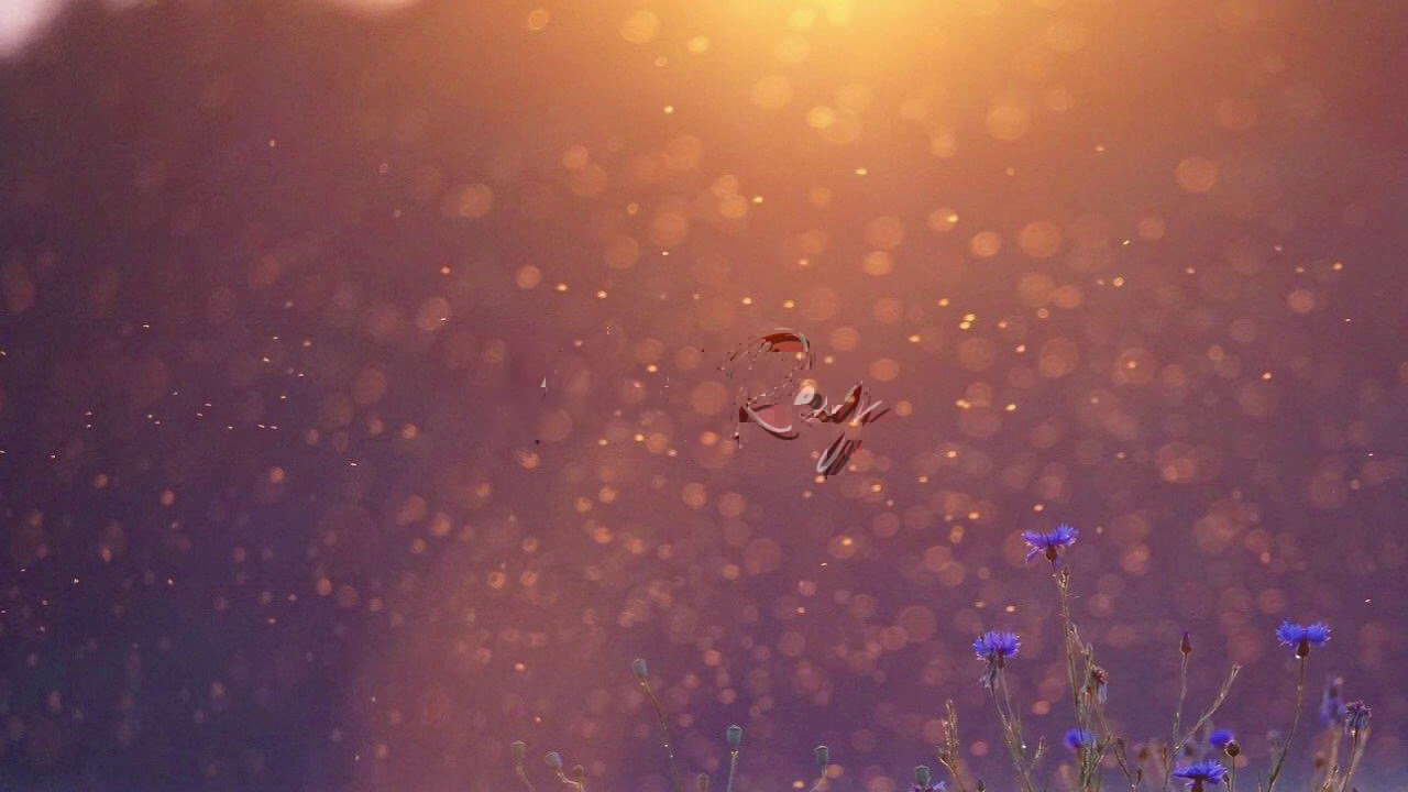 Cante al señor (Ingrid Rosario) - Video Lyric Acordes - Chordify