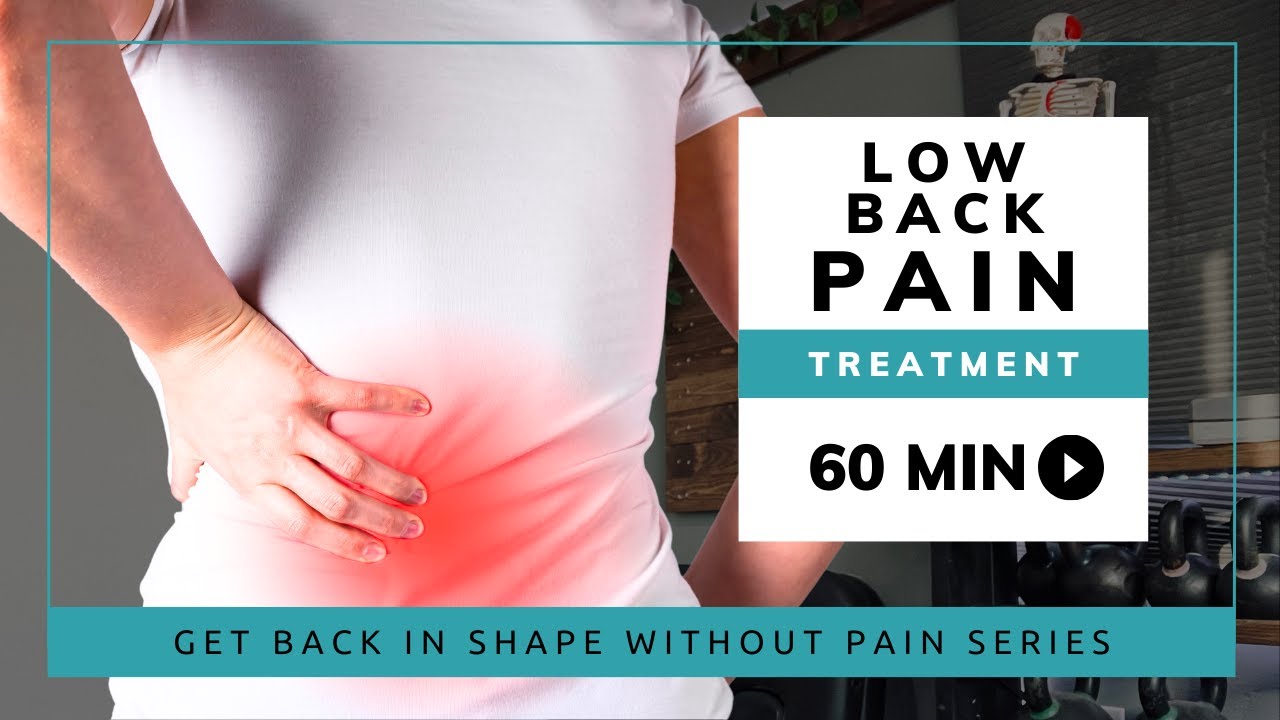 Lower Back Pain Treatment - 1 Hour Follow Along (Day 09) - YouTube