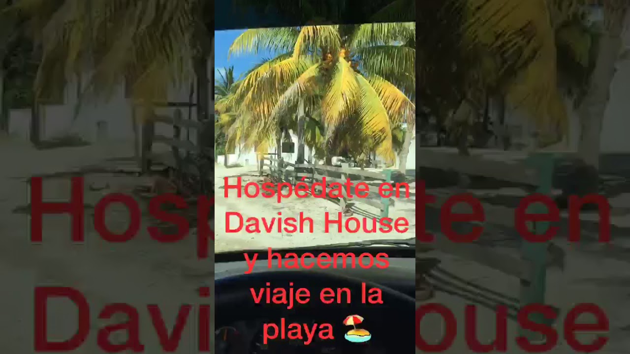 hostal Davish's House playa - YouTube