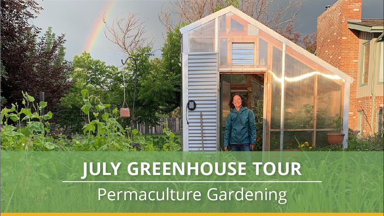 Permaculture Greenhouse Garden Tour: Mid-Season - YouTube