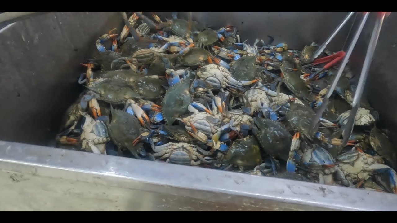 Asian Grocery Store || Viet Hua Market || Indianapolis, IN - YouTube