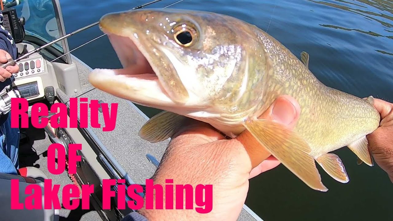 What Laker Fishing is Really Like in Colorado - YouTube