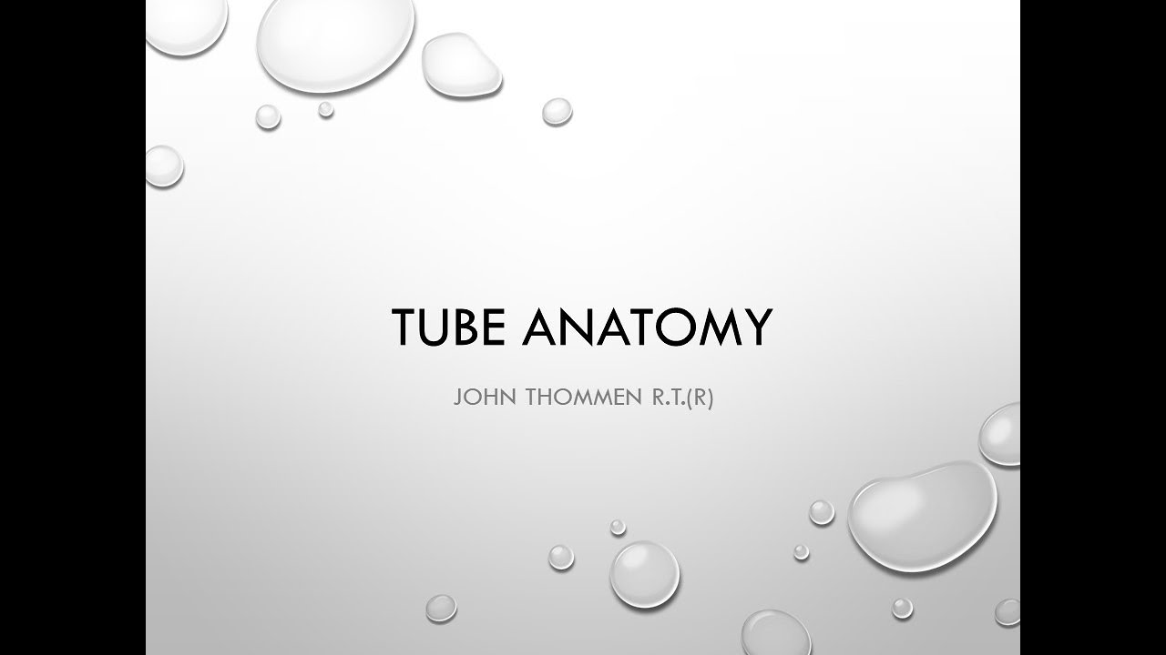 Tube Anatomy - YouTube