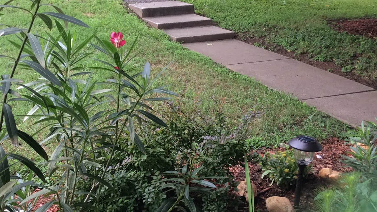 Coffee with ECP on the Porch 😉 - YouTube