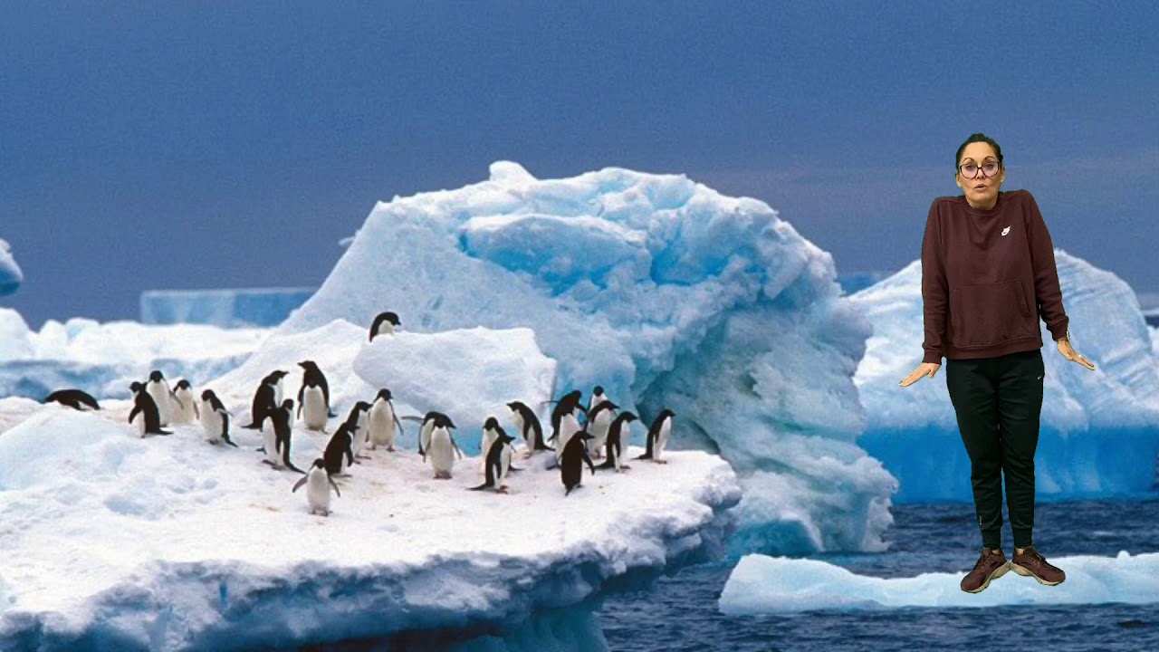 Penguin Breaths Mindful Minute - YouTube