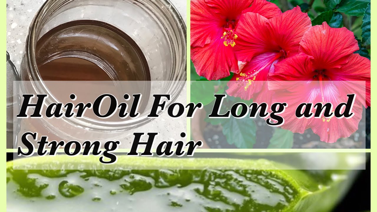 Hair Growth Oil Using Hibiscus And Aloe Vera Homemade Hair Oil YouTube hair-growth-oil-using-hibiscus-and-aloe-vera-homemade-hair-oil-youtube