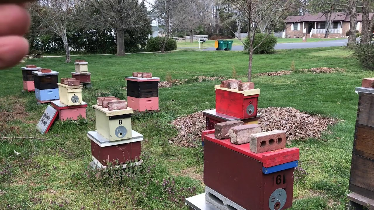 How To Rework Foundationless Frames - YouTube