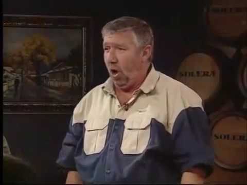 Tolla van der Merwe Die Merry go Round - YouTube