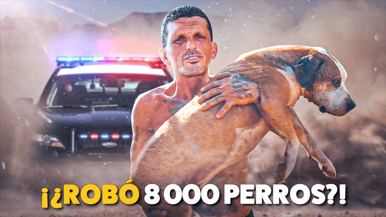 Robó 8 000 perros?! - YouTube