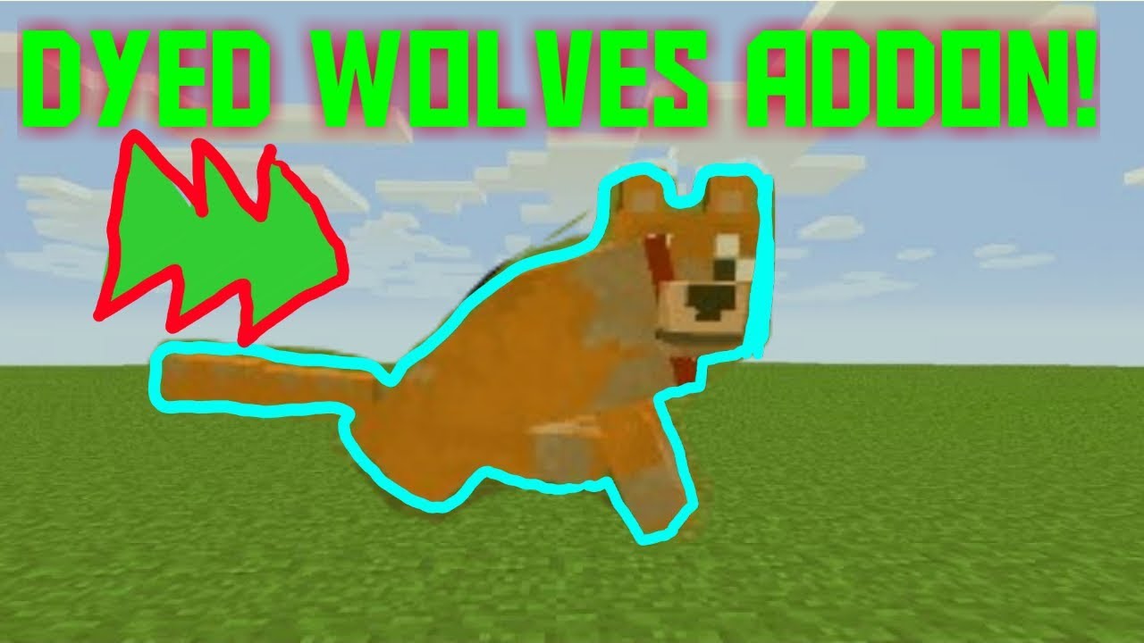 | The mutant colour dye wolves | MINECRAFT ADDON | - YouTube