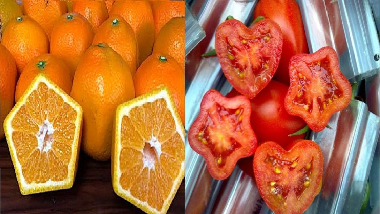 Formas Geometricas Em Frutas 30+ Geometric Polygonal Fruit Triangles