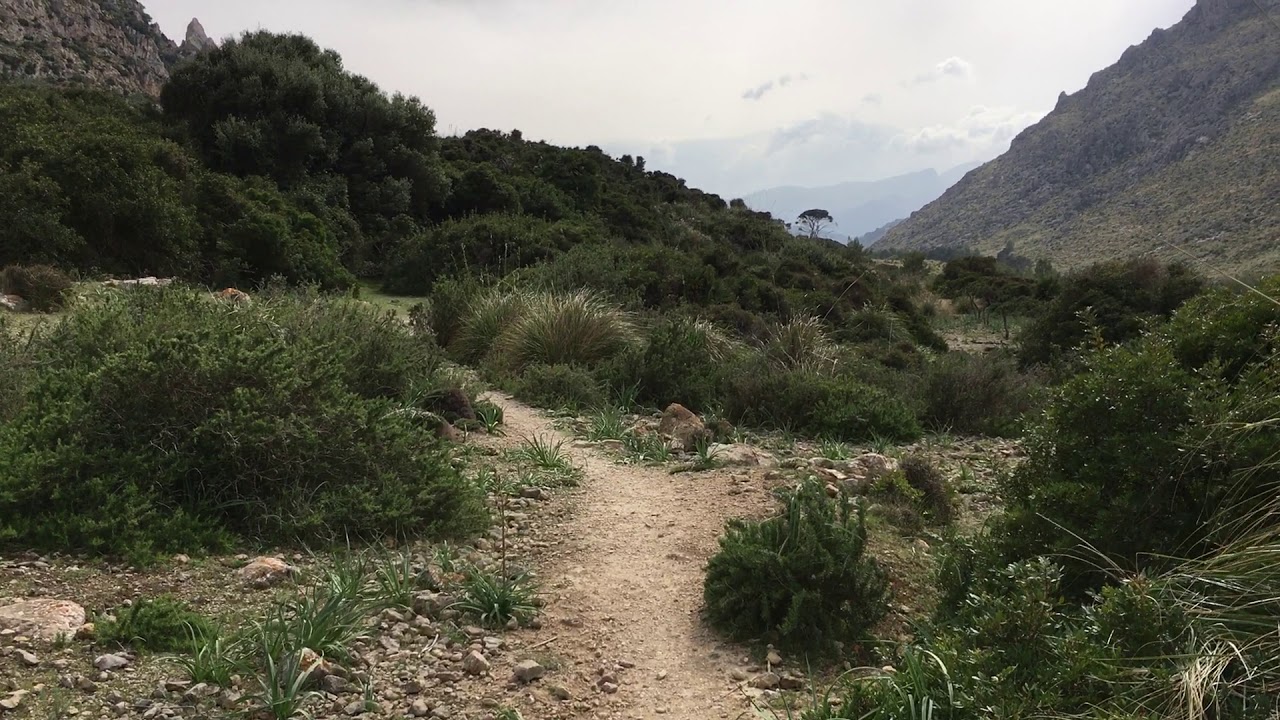 Walking back from the Bay, one of the 'windows' can be seen on the ...