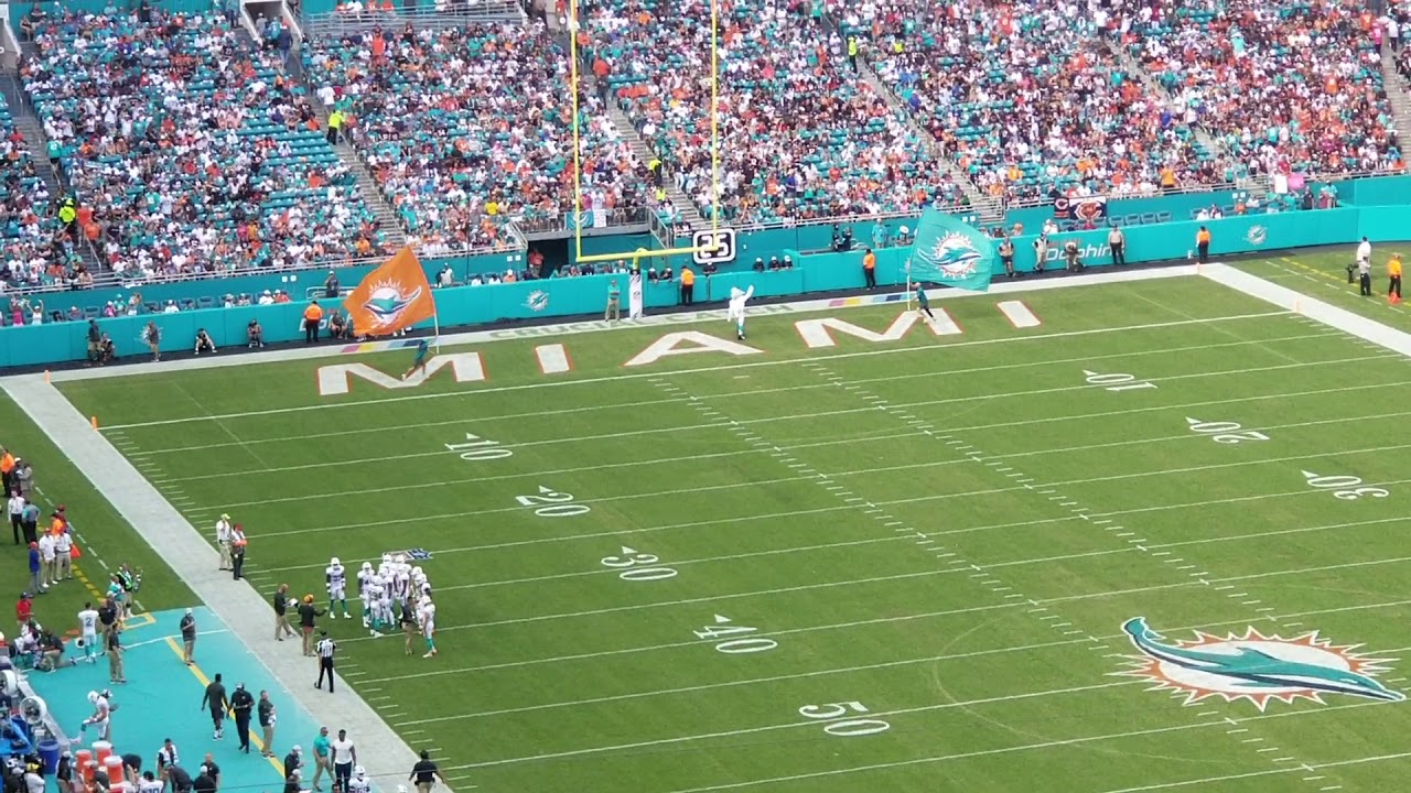A typical Dolphins Celebration - YouTube