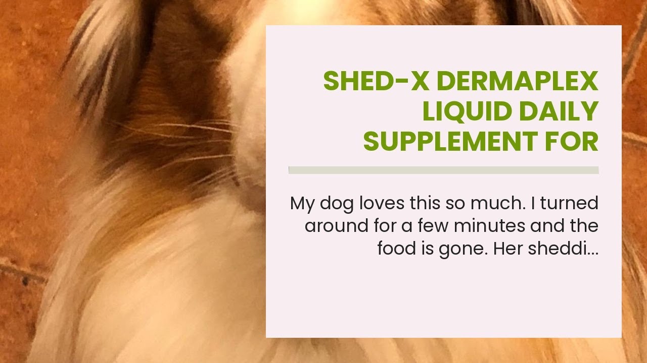 Shed-X Dermaplex Liquid Daily Supplement For Dogs – 100% Natural ...