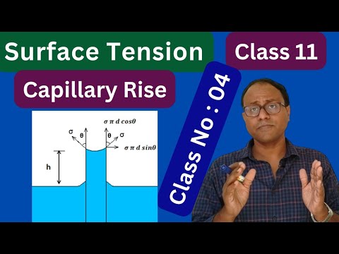 Capillary Rise |Surface Tension |Class 11 Physics| Tuhin Sir - YouTube
