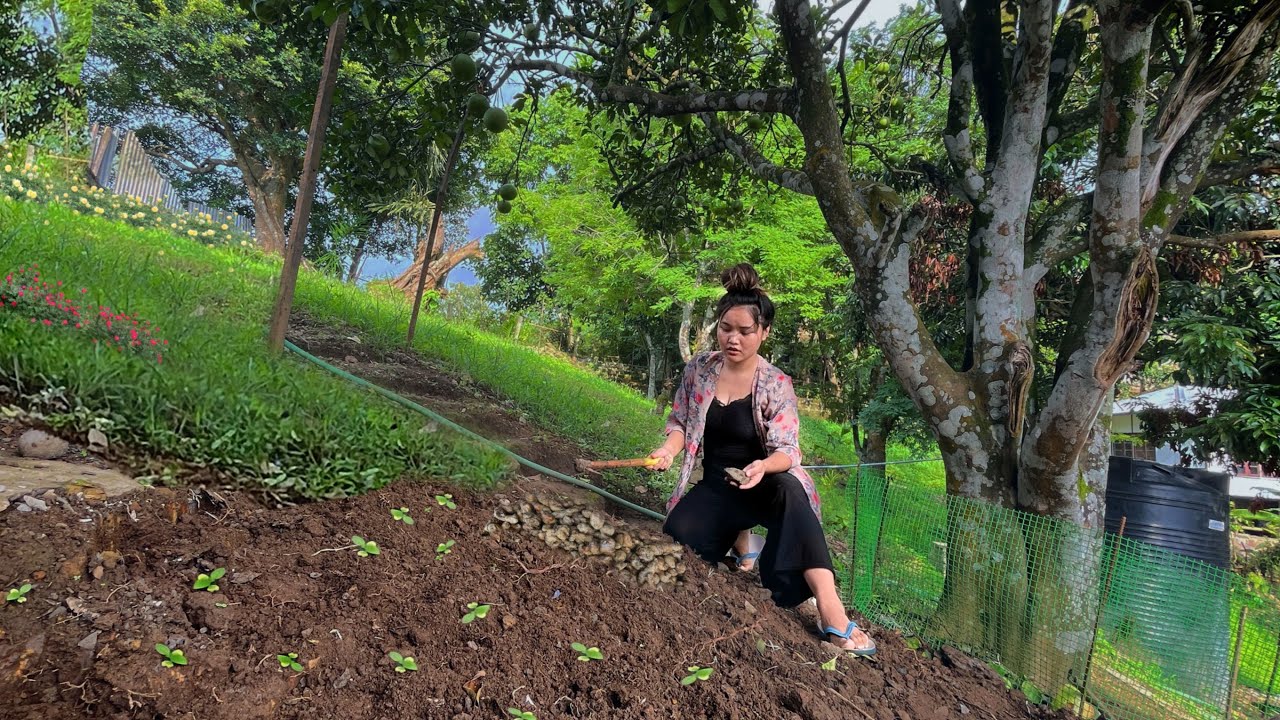 SAWHTHING🫚huan ah ling ila || HOMESTEAD GARDENING - YouTube