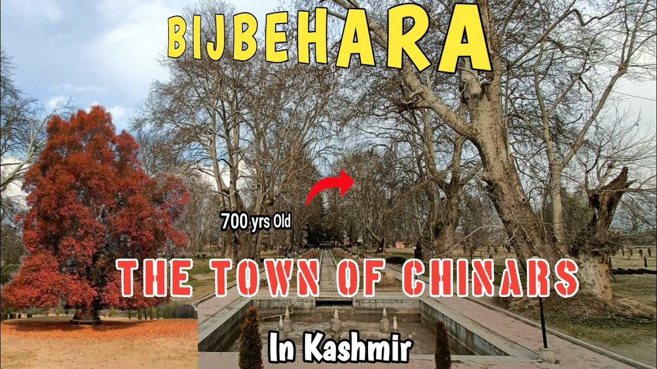 Bijbehara the town of chinars in kashmir #kashmir #chinartees - YouTube