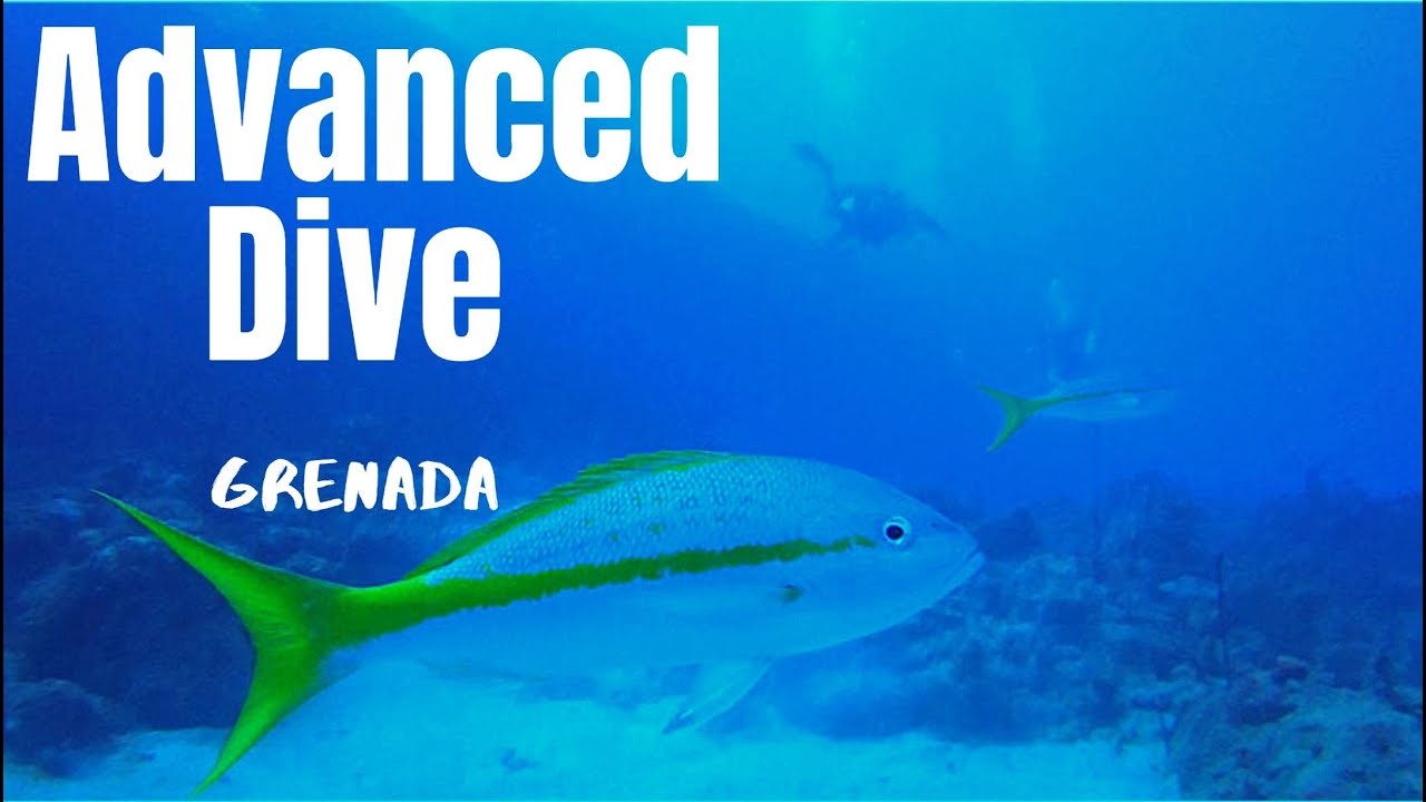 Scuba Diving Grenada | Underwater Sculptures | Advanced Deep Dive - YouTube