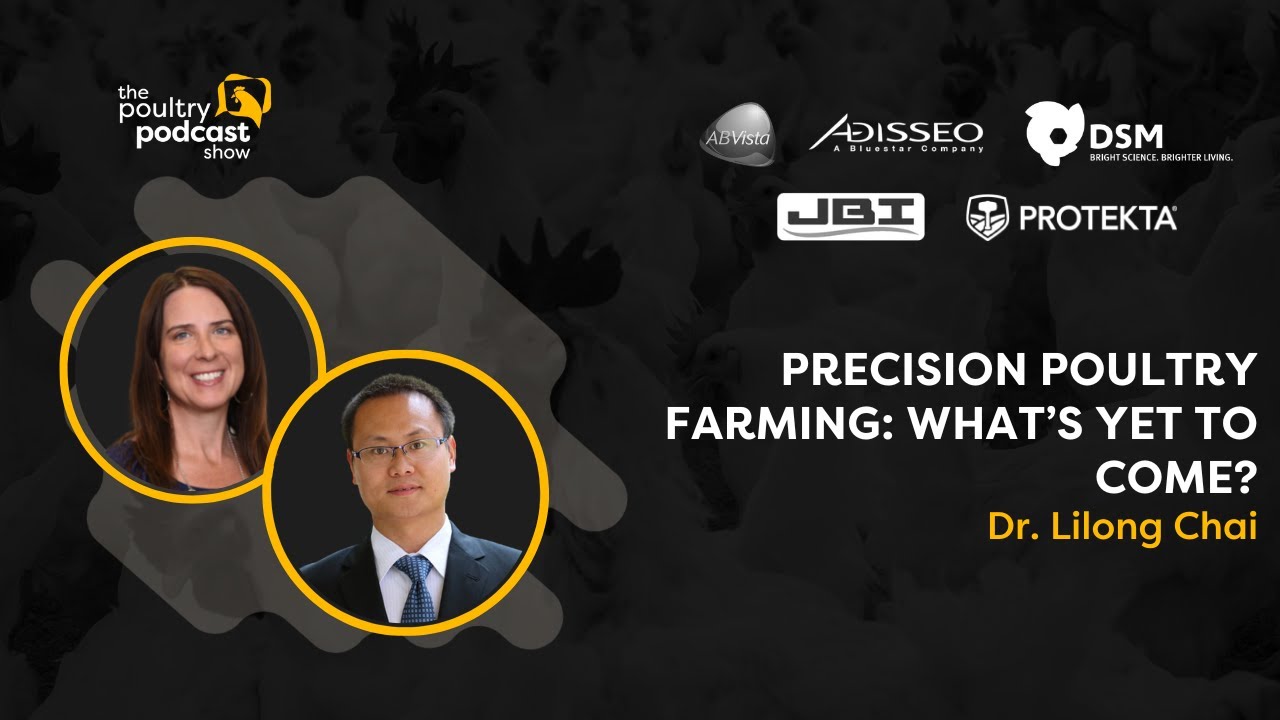 Dr. Lilong Chai: Future of Precision Poultry | Ep. 09 - YouTube
