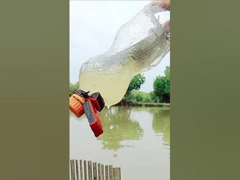 MANCING BELANAK PAKAI BOTOL BEKAS FANTA SIZE 1 LITER UMPAN TERIGU#shorts #mancingmania - YouTube