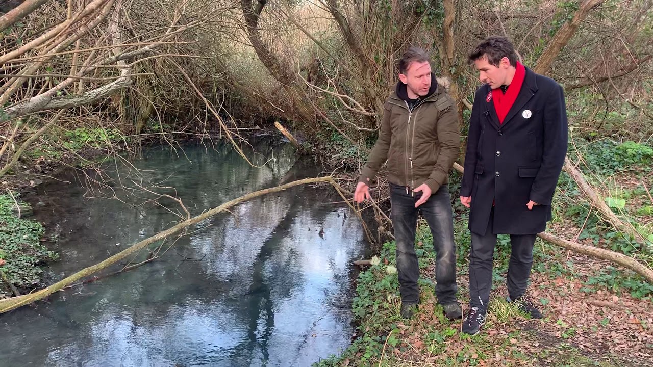 Dodder Death pond - YouTube