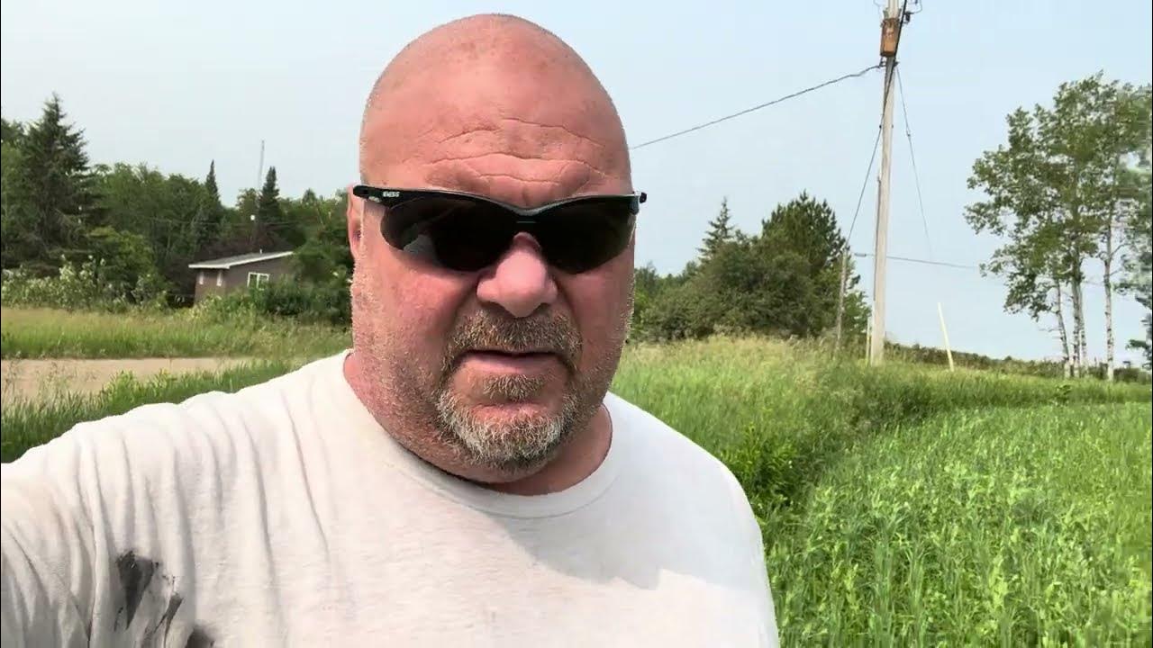 Peas & Oats & New seeding Alfalfa!!!! - YouTube