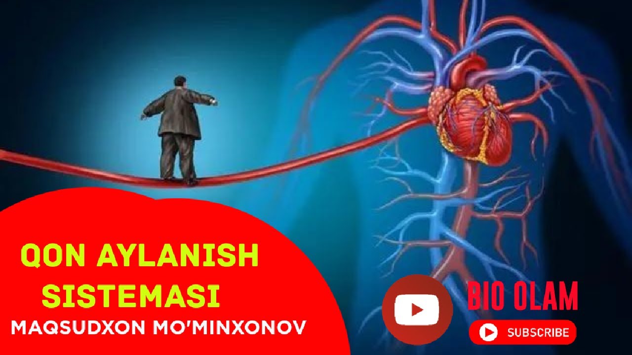 Qon aylanish sistemasi | @Maqsudxon_Mominxonov - YouTube