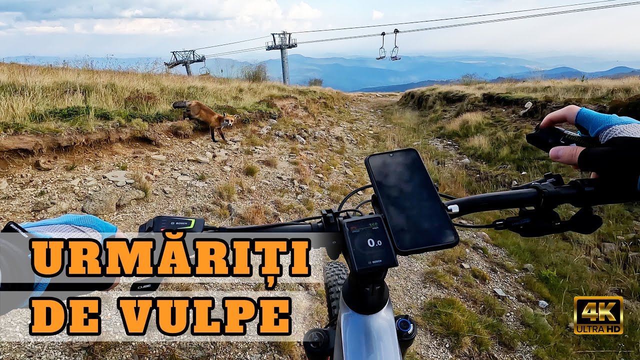 Traseu in Muntii Bucegi: Coborare tehnica de pe Varful Costila si ...