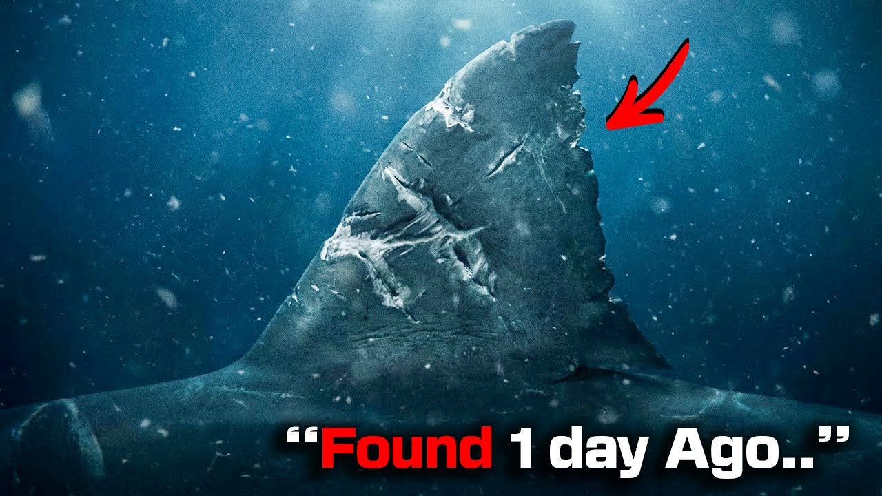 Lost Deep Sea Drone Filmed an ENORMOUS Ancient Shark Scientists Thought ...