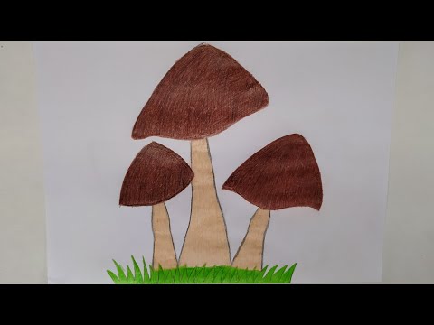 Rəsm - Göbələk Necə Çəkilir - How to Draw Mushroom