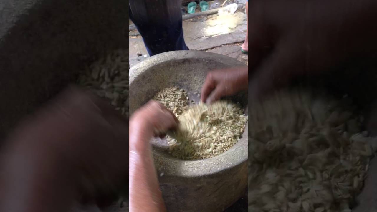 How to make Pinipig - YouTube