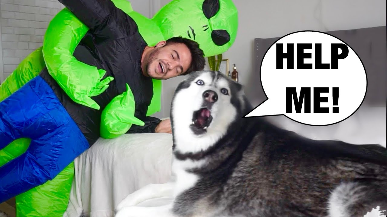Alien Invasion PRANK On Meeka! (HILARIOUS REACTION!)😱🤣 - YouTube
