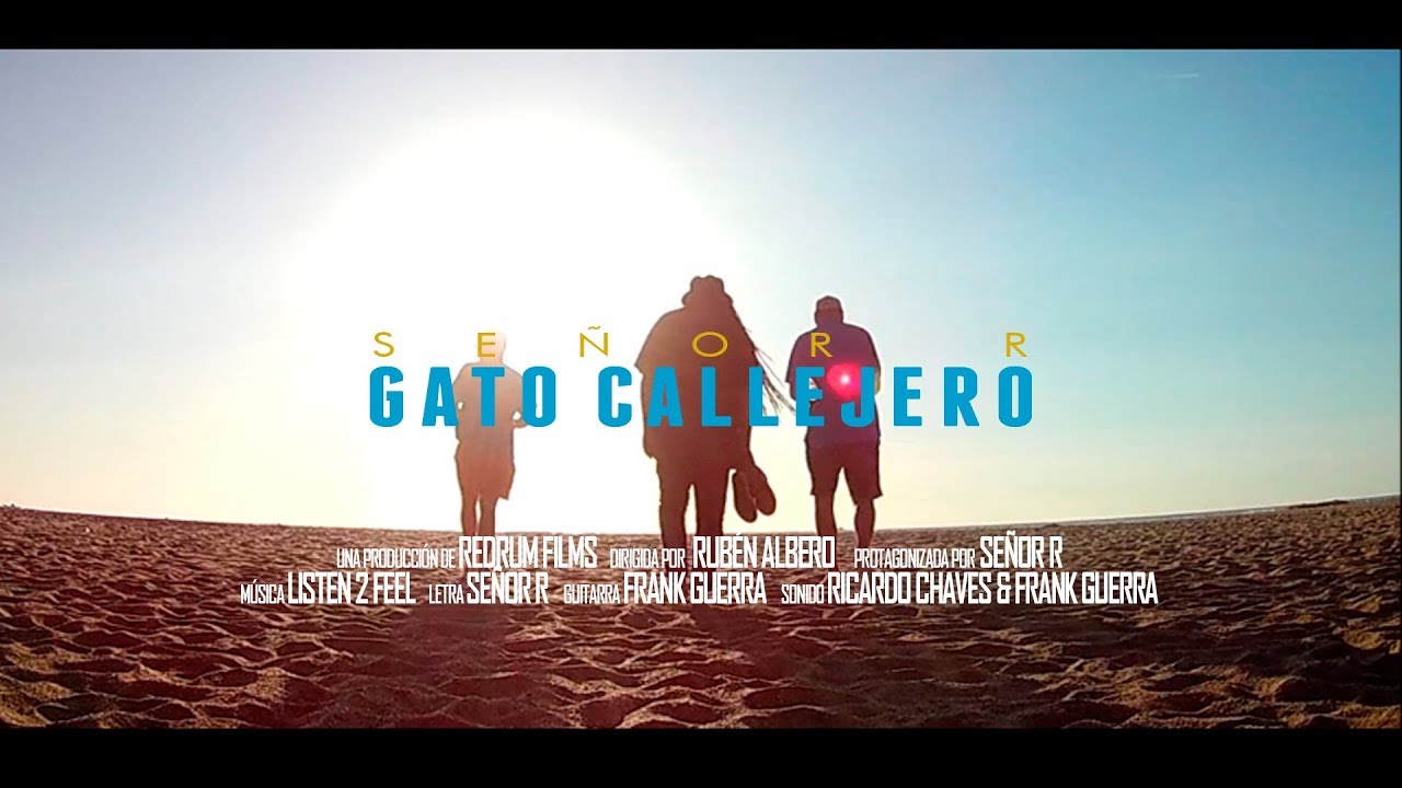 Señor R & Listen 2 feel - Gato callejero [REDRUMfilms] - YouTube