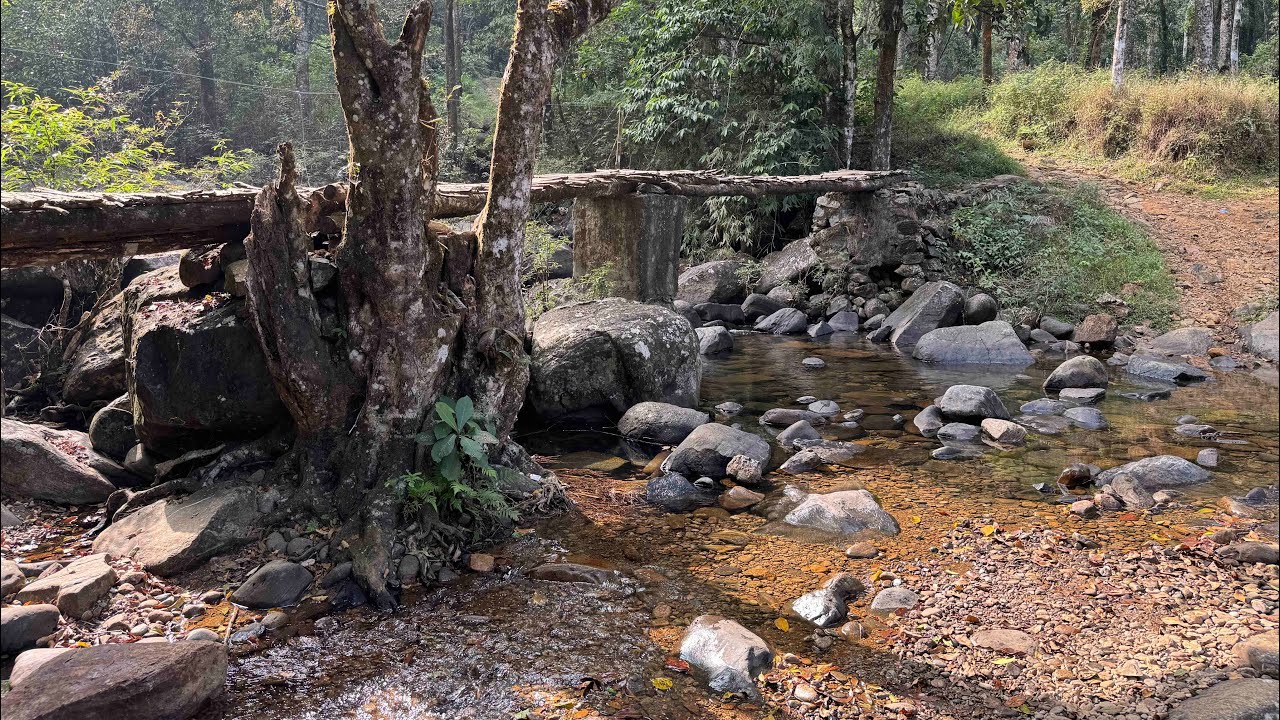 Vellarimala wayanad - YouTube