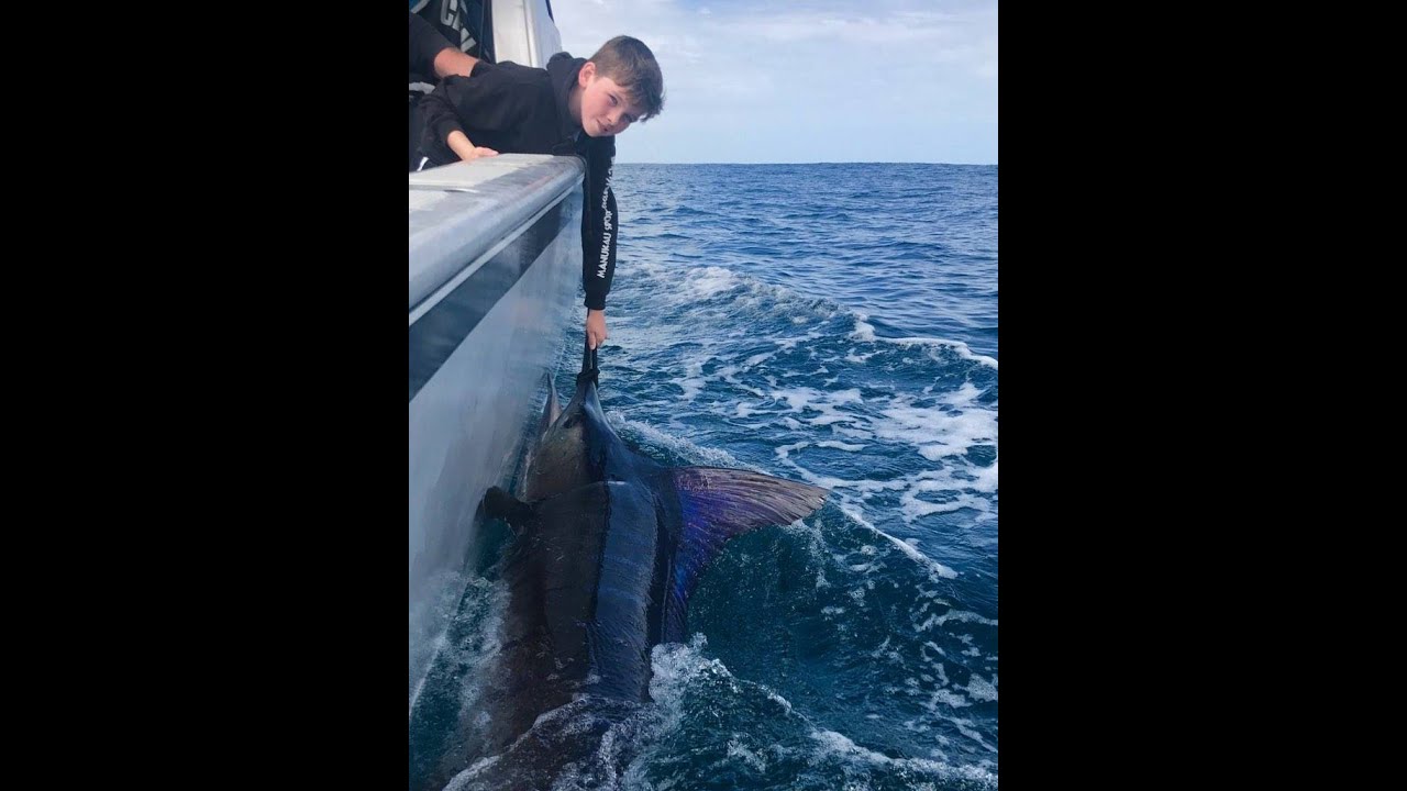Striped Marlin fishing West Coast NZ - YouTube