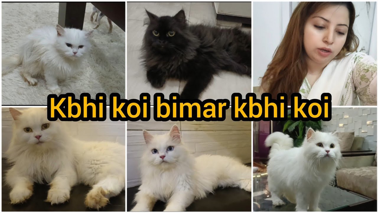 Kbhi koi bcha bimar ho Jata hy kbhi koi - Kylie went for outing - YouTube