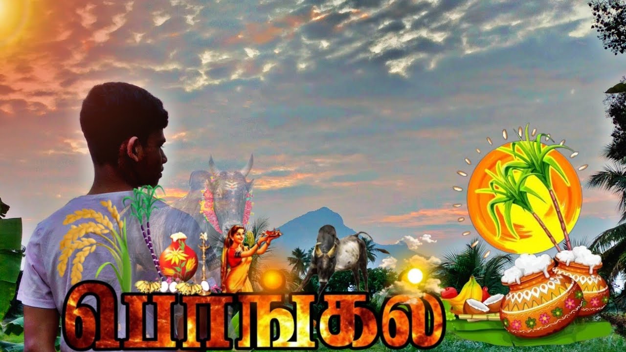 🌄kickdashpongal with my pullingos 🥰 - YouTube