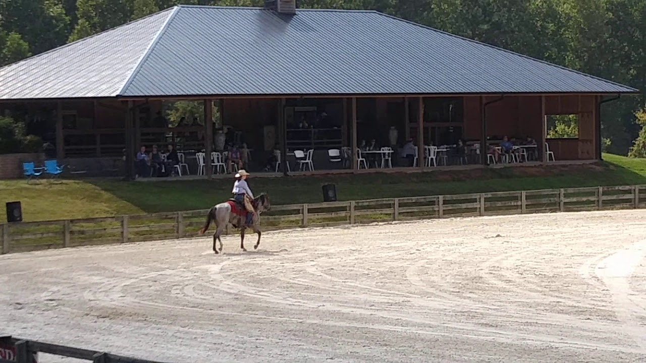 Carlee & Journey 2019 Mustang Open Show Walk-Trot-Canter Ranch Riding ...