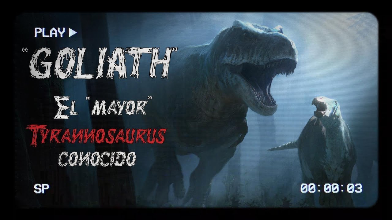 Goliath: El "mayor" Tyrannosaurus conocido - YouTube