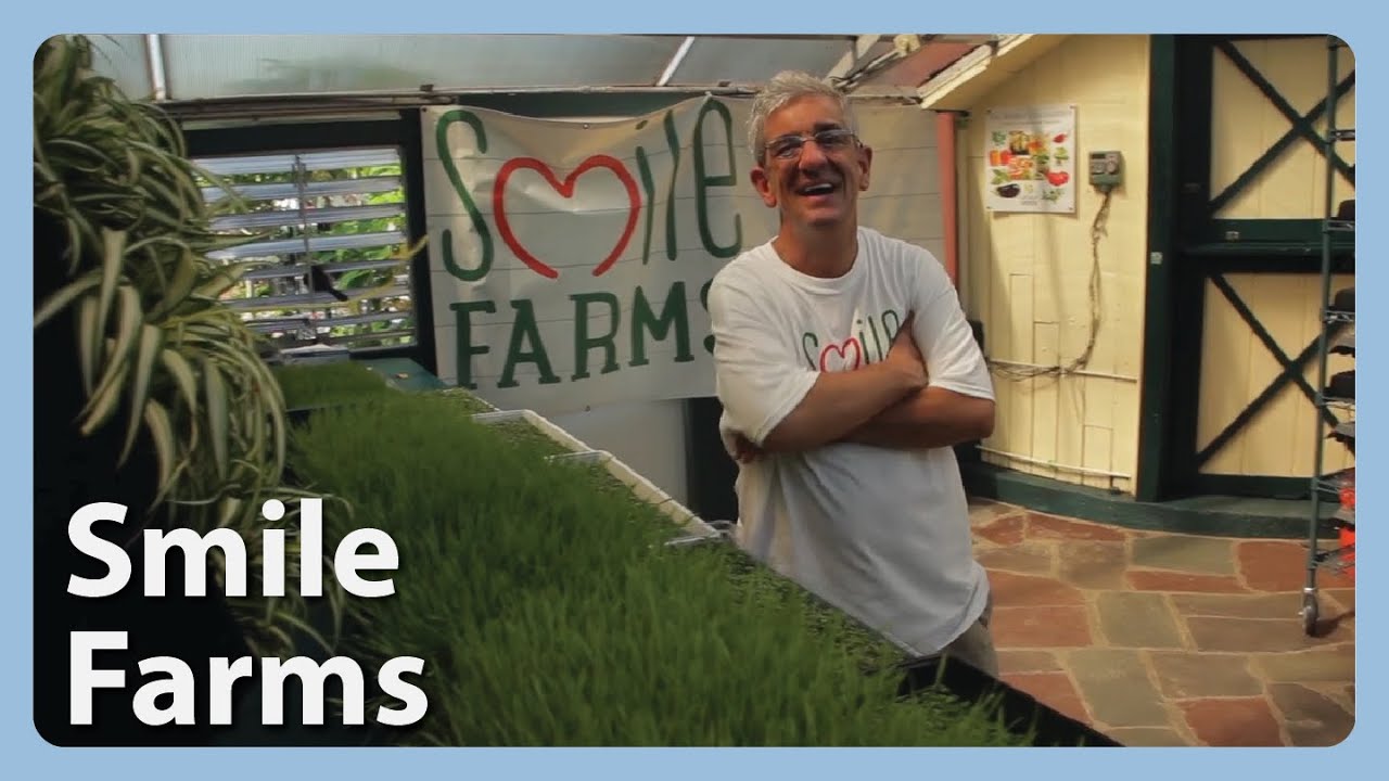 ‘Smile Farms’ Gives Disabled Adults Meaningful Employment - YouTube