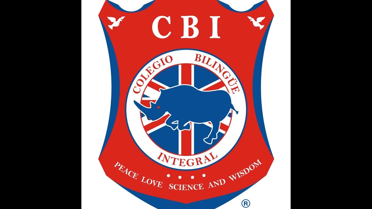 CBI Live Stream - YouTube