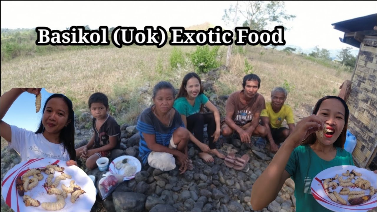 Uod sa loob ng Kahoy|Uok o Basikol|Wood Worm|Exotic Food|Buhay ...