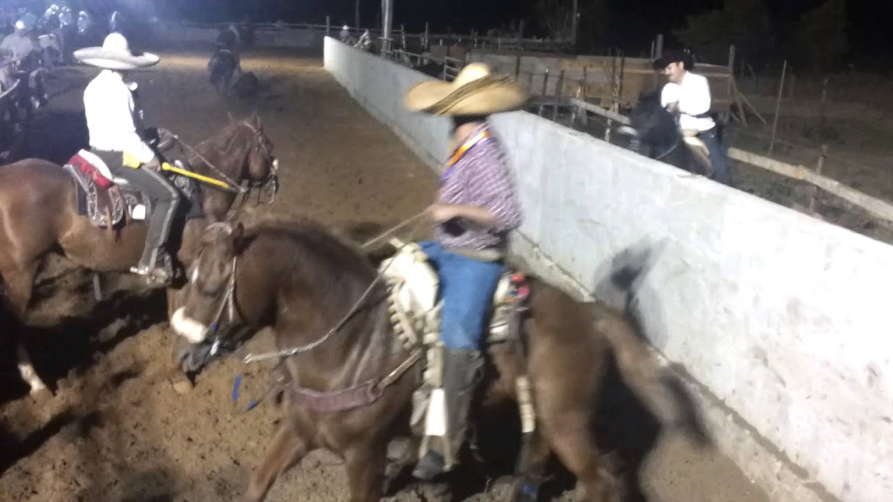 Coleadero en dallas 11/16/2013 - YouTube