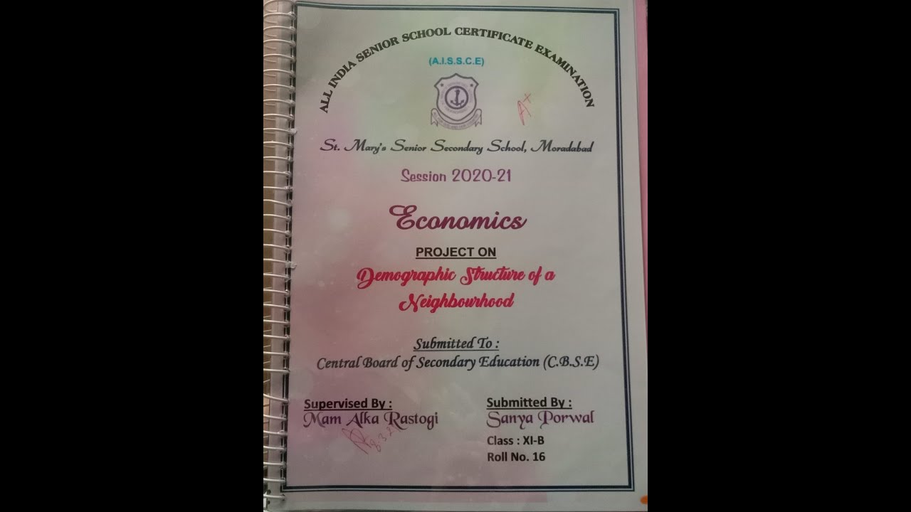 economics project/class 11/demographic structure of neighborhood /50 ...