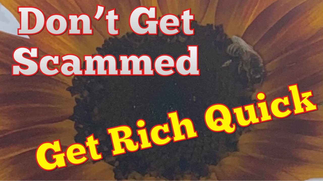 Get Rich Quick! The Scam! Views Don’t Pay! Great Supporters Make All ...