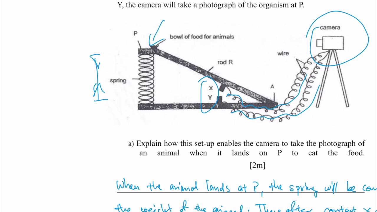 PSLE Science Forces part A - YouTube