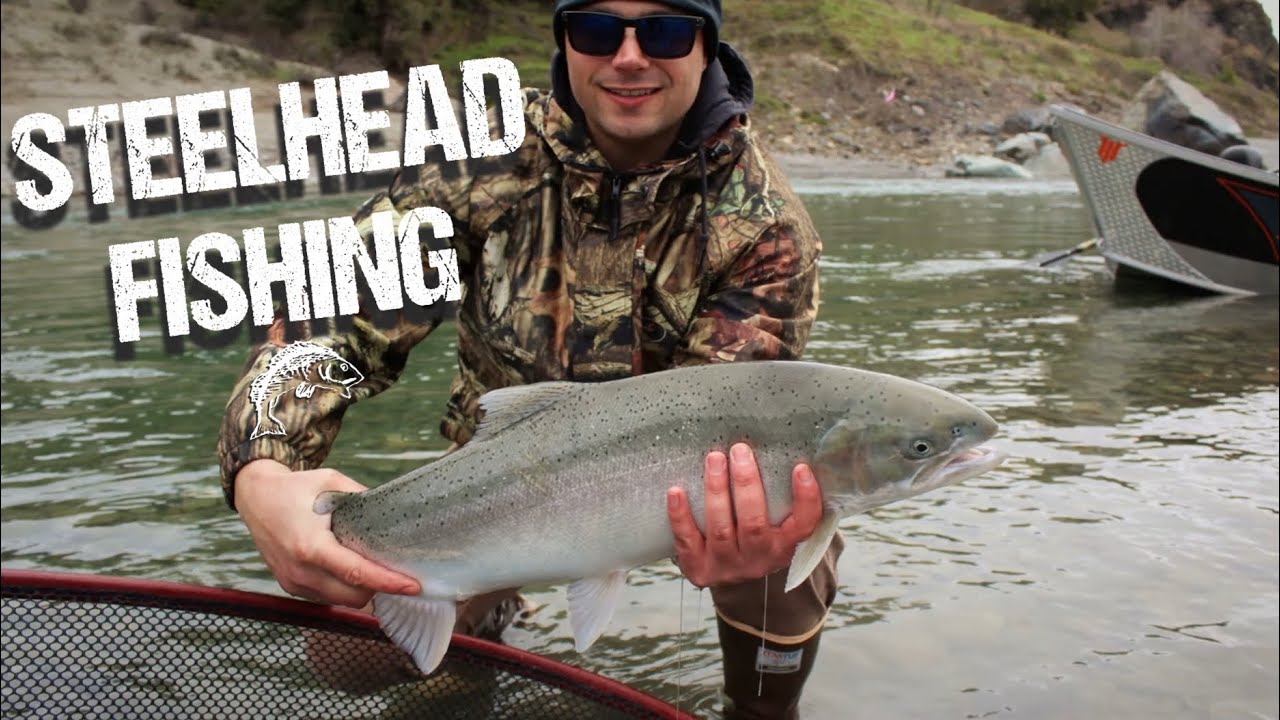 Steelhead Fishing - California - YouTube