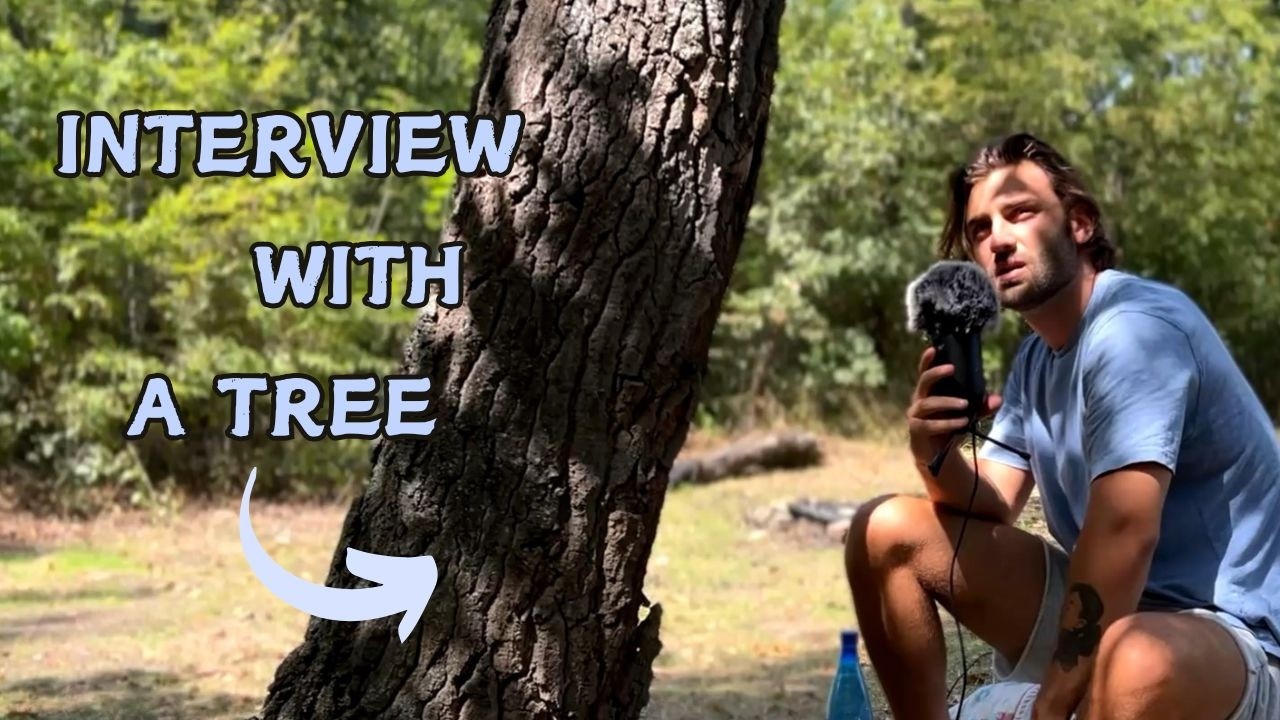 Interviewing a Tree (ASMR) - YouTube