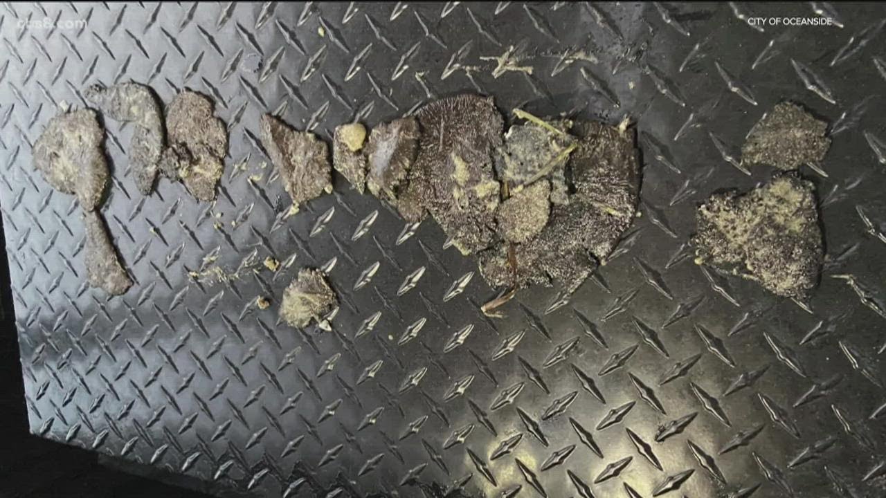 Oil tarballs found on Oceanside beach - YouTube