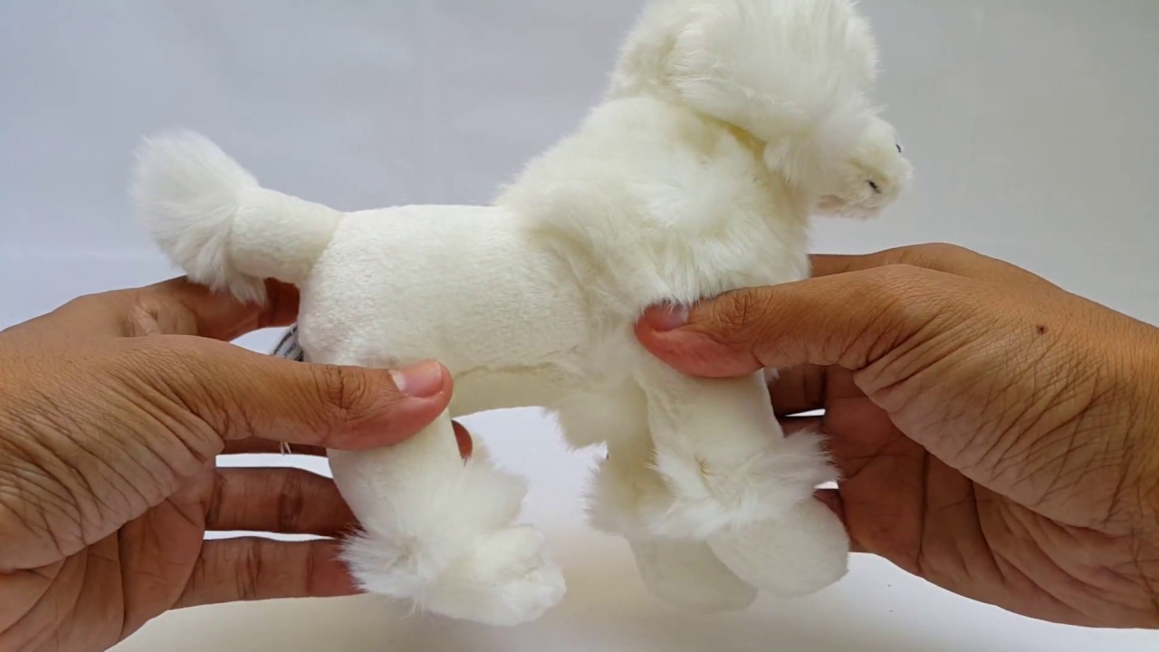 Boneka Hewan Anjing Pudel (Poodle) Original OZco SOZ090 - YouTube